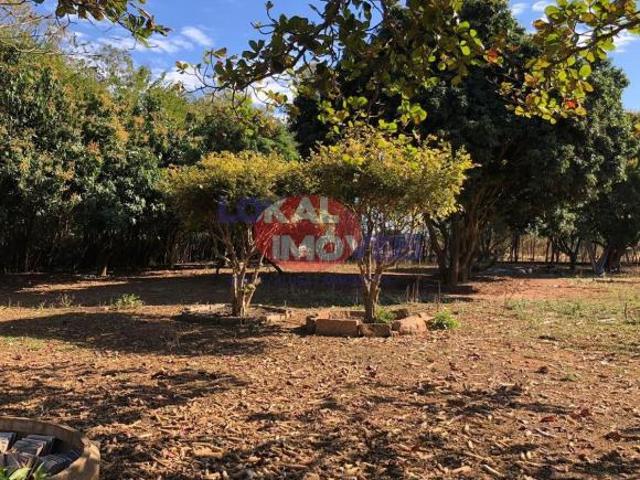 Chácara em Barão Geraldo Campinas