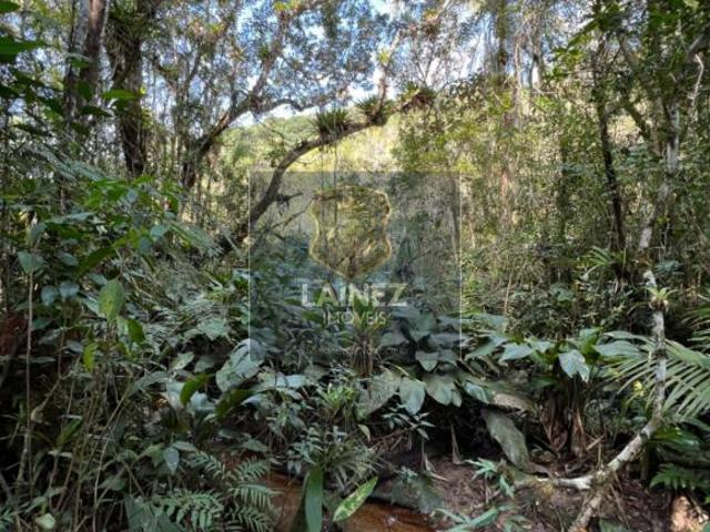 Chácara em Barrinha São Lourenço da Serra
