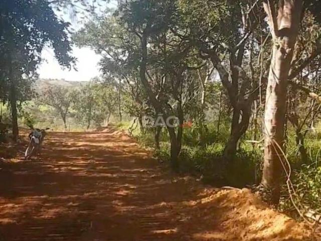 chacara em bela vista 20.000,00 metros Chácara à Venda, 20000.00 por R$ 220000.00 IN34966