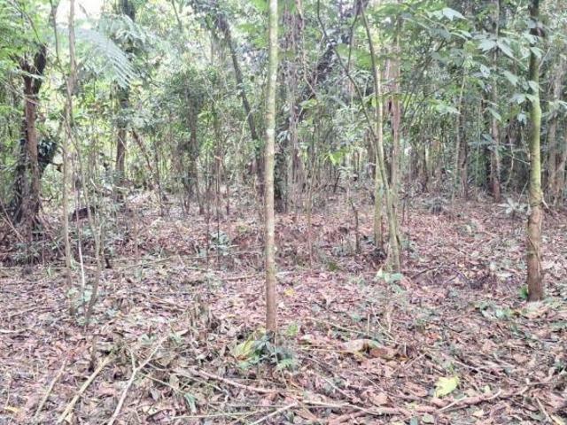 Chácara em Bertioga Condomínio