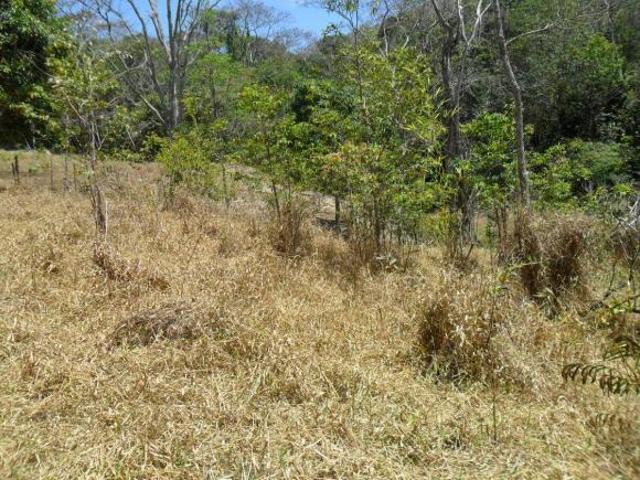 Chácara em Bom Jesus do Amparo/MG, com área de 5.000m2 cercada