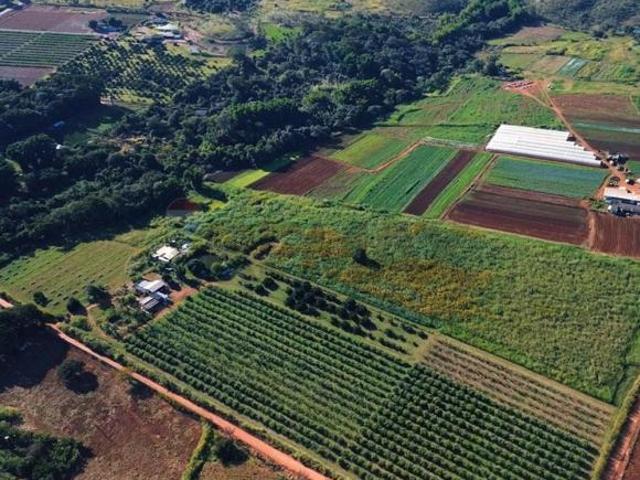 Chácara em Brazlândia