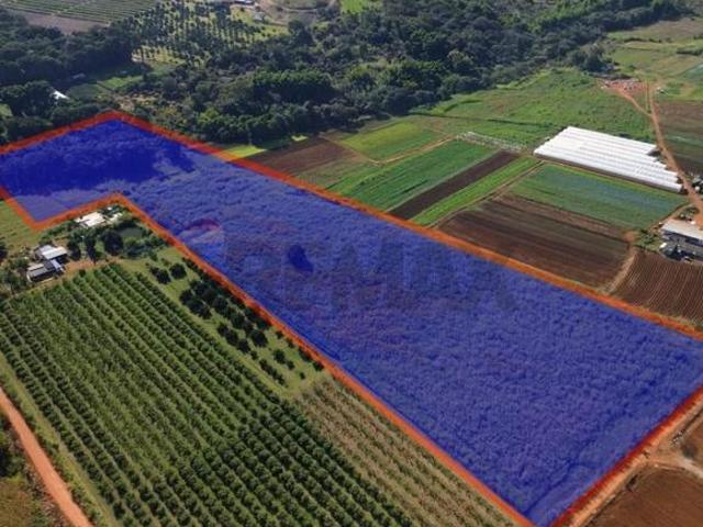 Chácara em Brazlândia