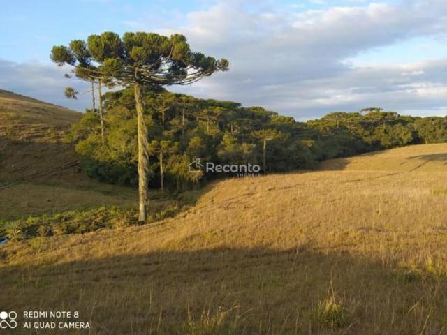 Chácara em Britadeira, Sao Francisco De Paula/RS de 0m² 1 quartos à venda por R$ 2.350.000,00