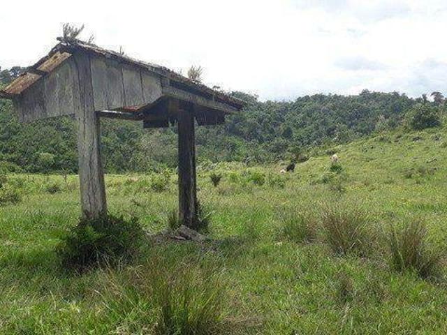 Chácara em, Campina Grande do Sul/PR de 0m² à venda por R$ 560.000,00
