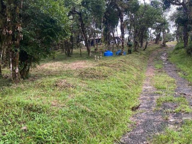 Chácara em, Campina Grande do Sul/PR de 4800m² à venda por R$ 400.000,00