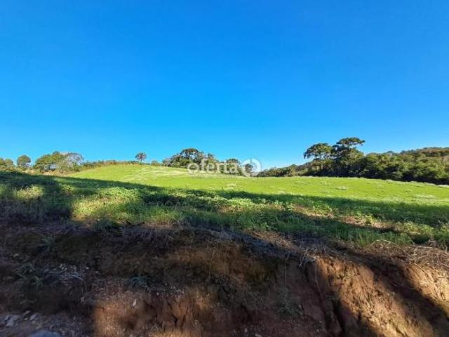 Chacara em Campina das Pedras Araucaria
