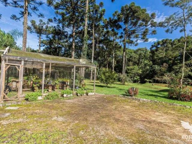 Chácara em CAMPO MAGRO com área de terreno 9.800,84 m²