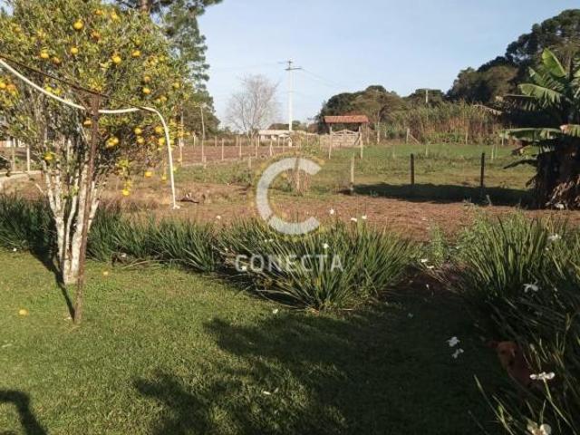Chácara em Campo das Flores, Tijucas do Sul/PR