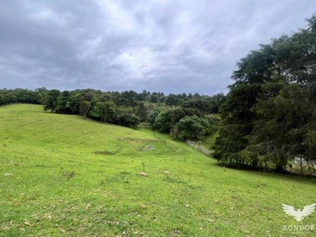 Chácara em CAMPO LARGO/ BATEIAS com 30.250,00m²