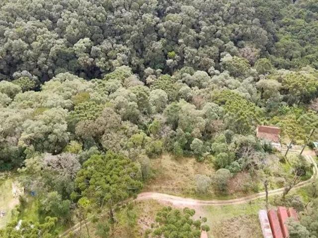 Chácara em CAMPO LARGO com 7.846,00m²