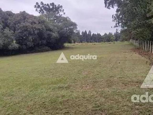 Chácara em Cará cará, Ponta Grossa/PR de 10m² 1 quartos à venda por R$ 2.300.000,00