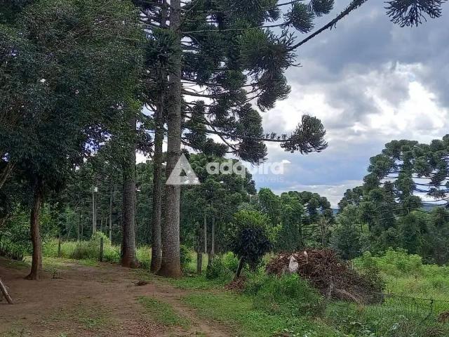 Chácara em, Carambeí/PR de 170m² 3 quartos à venda por R$ 2.199.900,00