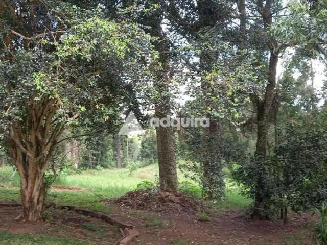 Chácara em, Carambeí/PR de 170m² 3 quartos à venda por R$ 2.200.000,00