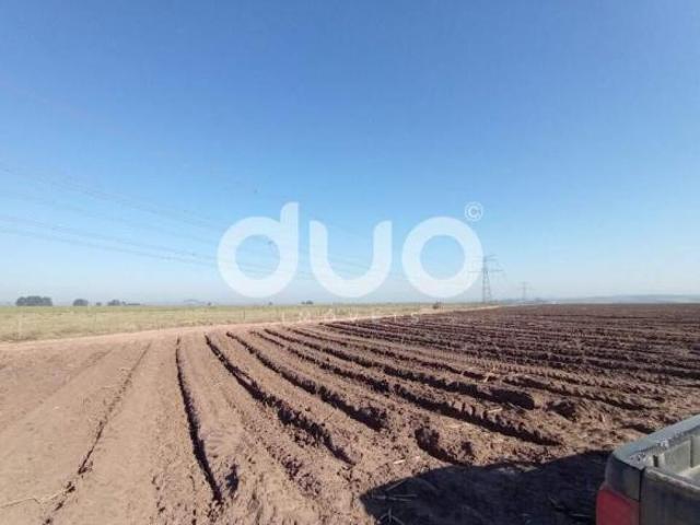 Chácara em Centro Ártemis, Piracicaba/SP de 1m² 1 quartos à venda por R$ 9.000.000,00