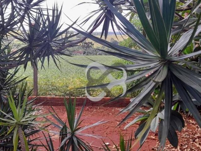 Chácara em Centro, Londrina/PR de 0m² 3 quartos à venda por R$ 3.120.000,00