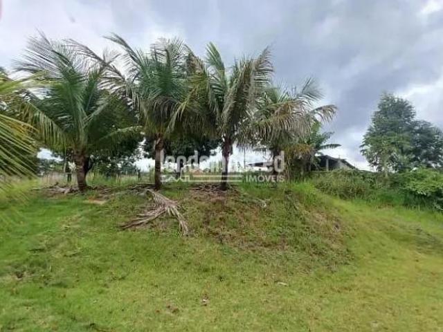 Chácara em Centro, Londrina/PR de 1000m² 1 quartos à venda por R$ 250.000,00