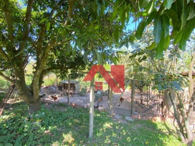 Chácara em Centro, Mogi Guaçu/SP de 90m² 2 quartos à venda por R$ 500.000,00