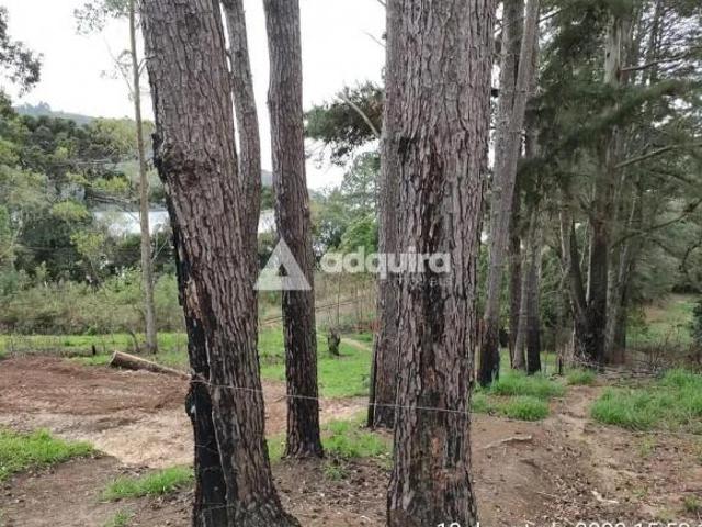 Chácara em Centro, Ponta Grossa/PR de 10m² 1 quartos à venda por R$ 480.000,00