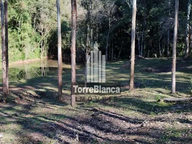 Chácara em Centro, Ponta Grossa/PR de 10m² 2 quartos à venda por R$ 1.799.900,00