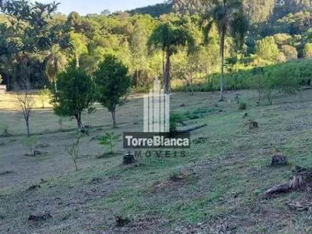 Chácara em Centro, Ponta Grossa/PR de 10m² 2 quartos à venda por R$ 1.800.000,00