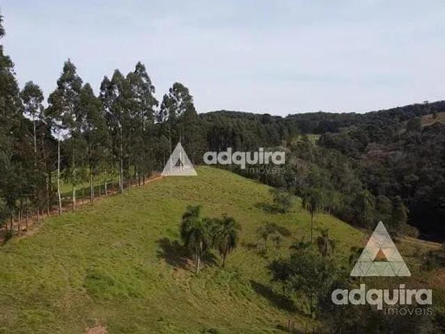 Chácara em Centro, Ponta Grossa/PR de 180m² 2 quartos à venda por R$ 700.000,00