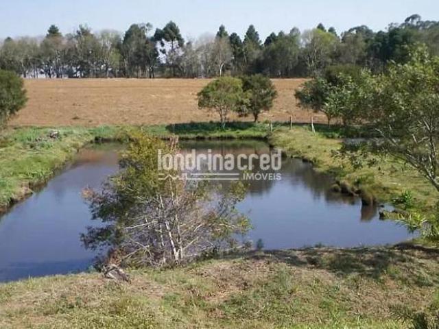 Chácara em Centro, São José dos Pinhais/PR de 10m² 1 quartos à venda por R$ 1.520.000,00