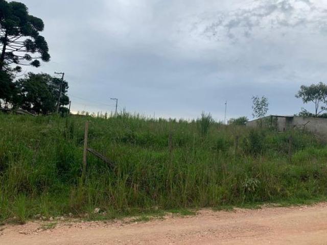 Chácara em Centro, São José dos Pinhais/PR de 2400m² 1 quartos à venda por R$ 240.000,00