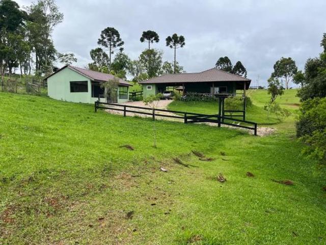 Chácara em Centro, São José dos Pinhais/PR de 24700m² 3 quartos à venda por R$ 2.000.000,00
