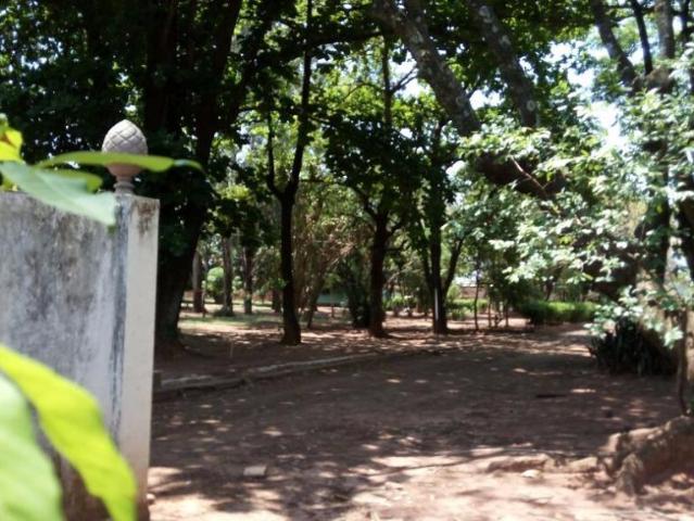 Chácara em Chácaras Moema, Araçatuba/SP de 20000m² à venda por R$ 1.299.000,00