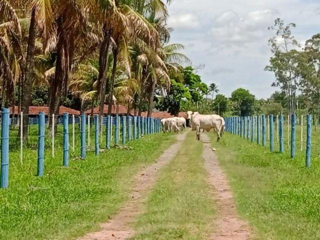 Chácara em Chácaras Califórnia, Araçatuba/SP de 215380m² à venda por R$ 2.699.000,00