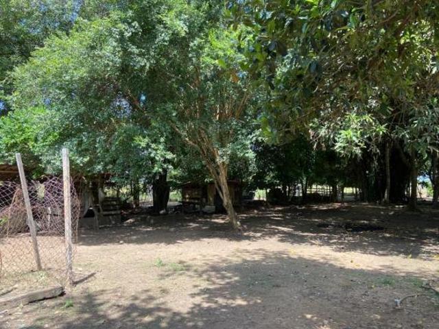 Chácara em Chácaras de Recreio Monteiro, Araçatuba/SP de 10000m² à venda por R$ 1.500.000,00