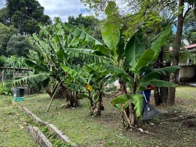 Chácara em Cidade Jardim, São José dos Pinhais/PR de 12859m² 4 quartos à venda por R$ 990.000,00