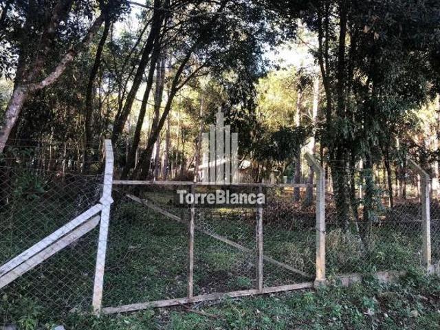 Chácara em Colônia Dona Luíza, Ponta Grossa/PR de 2500m² 1 quartos à venda por R$ 290.000,00
