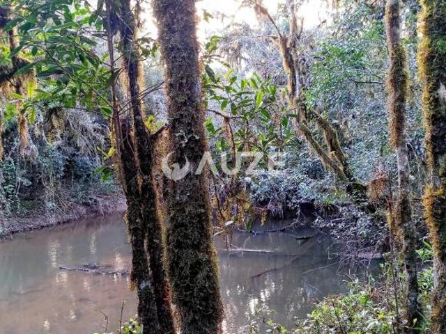 Chácara em Colônia Murici, São José dos Pinhais/PR de 10m² 1 quartos à venda por R$ 380.000,00