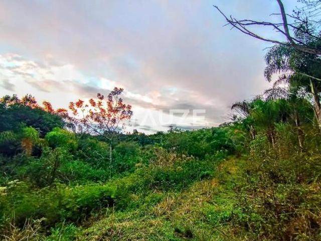 Chácara em Colônia Murici, São José dos Pinhais/PR de 10m² 1 quartos à venda por R$ 381.000,00