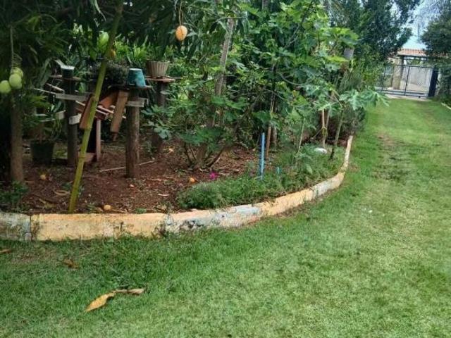 Chácara em condomínio em Arthur Nogueira 1000 m² com árvores frutíferas