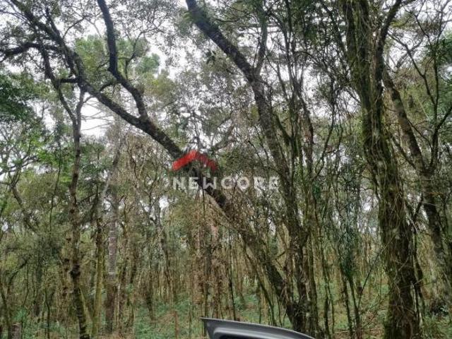 Chácara em condomínio em Rua Manoel Luiz Estrada da Onça Bateias Bateias/PR