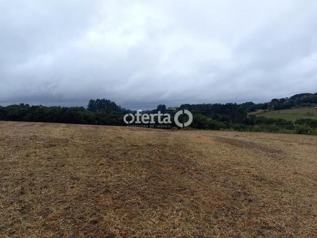 Chácara em Contenda / Campestre