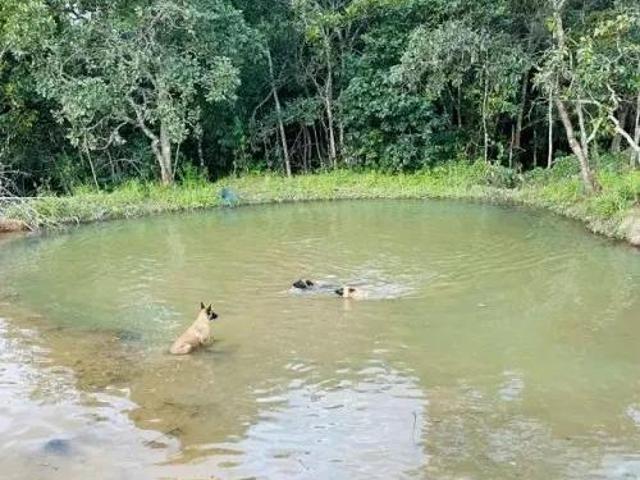 CHÁCARA EM COVALZINHO DE GOIÁS