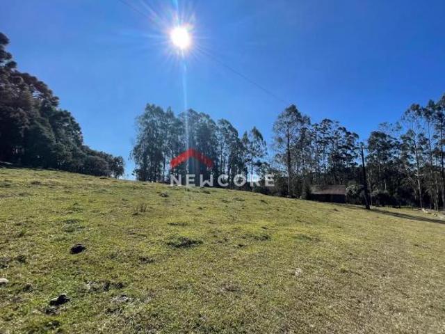 Chácara em Estrada geral Contendas São Francisco de Paula/RS