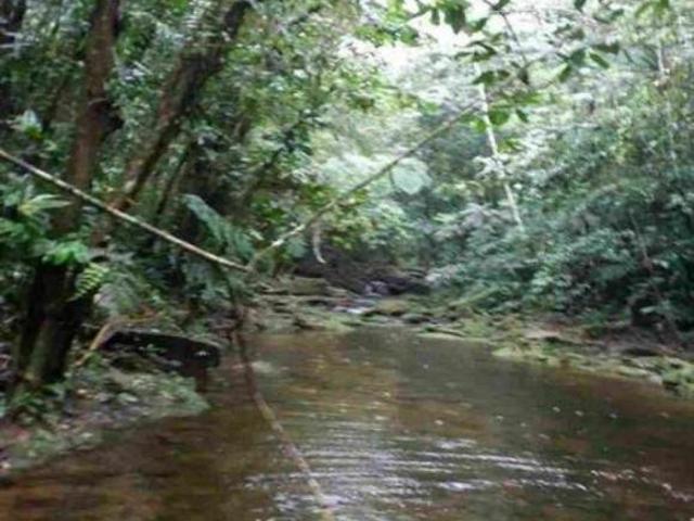 Chácara em Estrada do Bananal Agenor de Campos Mongaguá/SP