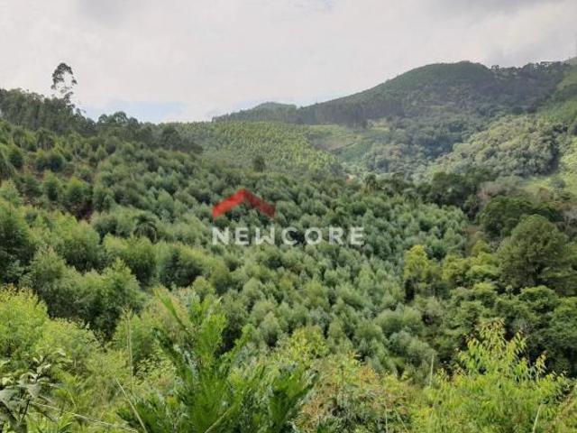 Chácara em Estrada do Jacuzal Morro Da Palha Campo Magro/PR