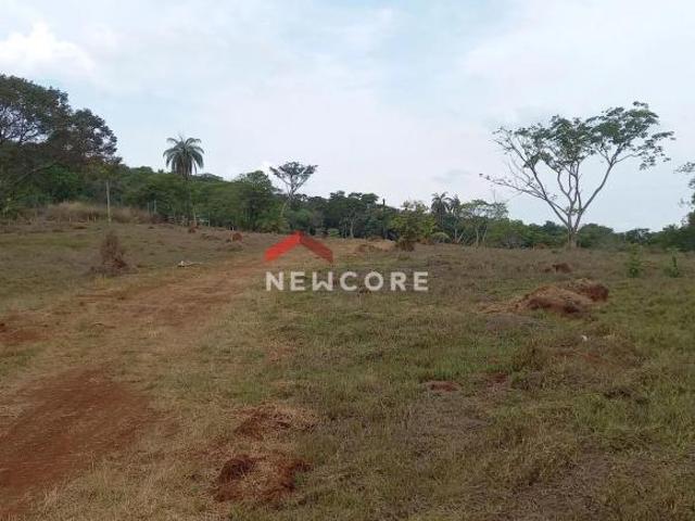 Chácara em Estrada Do Sitio Novo Sitio novo Mateus Leme/MG