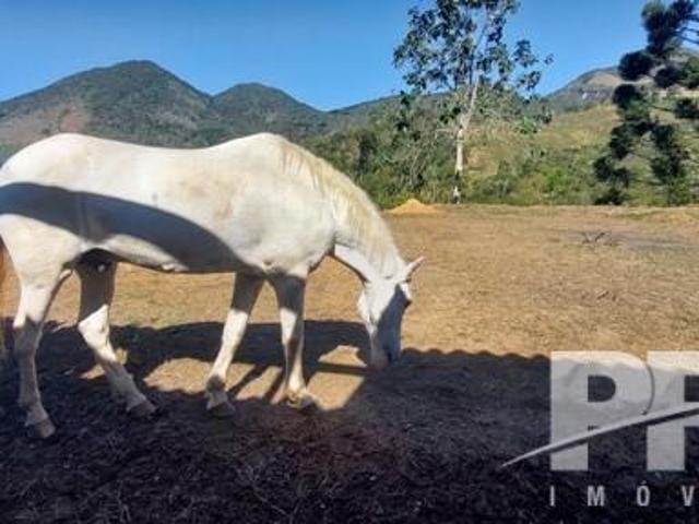 Chácara em Fazenda Alpina, Teresópolis/RJ de 60000m² 2 quartos à venda por R$ 599.000,00