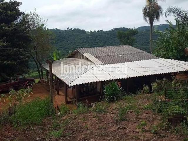 Chácara em Gleba 01, Tamarana/PR de 132m² 2 quartos à venda por R$ 650.000,00