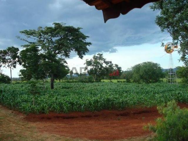 Chácara em Goianira – Ideal para Moradia, Lazer ou Investimento Chácara à Venda, 549.39 por R$ 20000