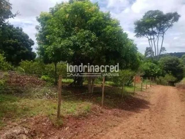 Chácara em, Ibiporã/PR de 10m² 1 quartos à venda por R$ 600.000,00