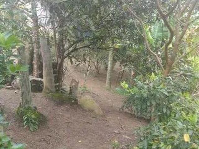 Chácara em, Ibiúna/SP de 100m² 5 quartos à venda por R$ 1.064.400,00
