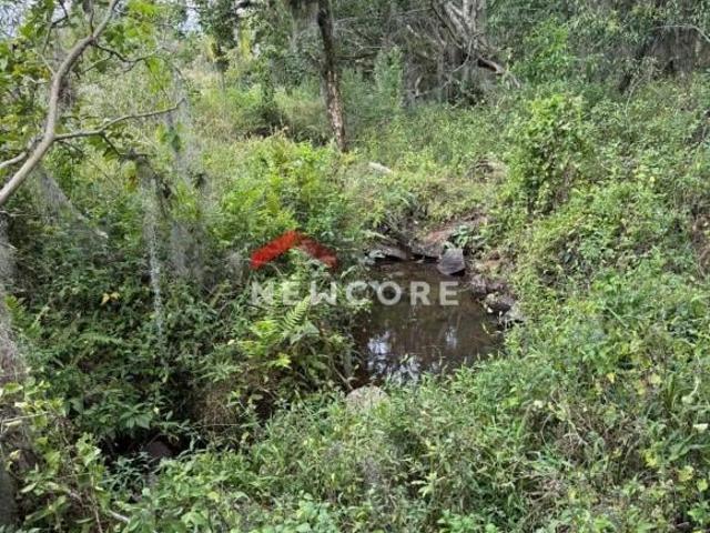 Chácara em Igrejinha Nova Aurora Igrejinha/RS